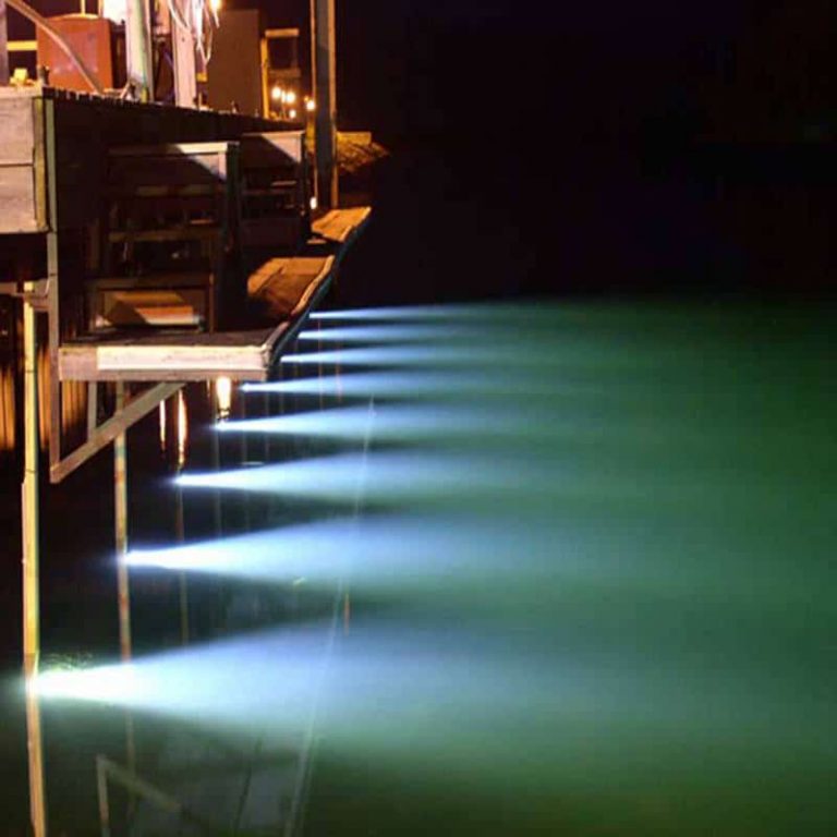 LED Sea-Vue™ Dock Light | All Your Underwater Light Needs